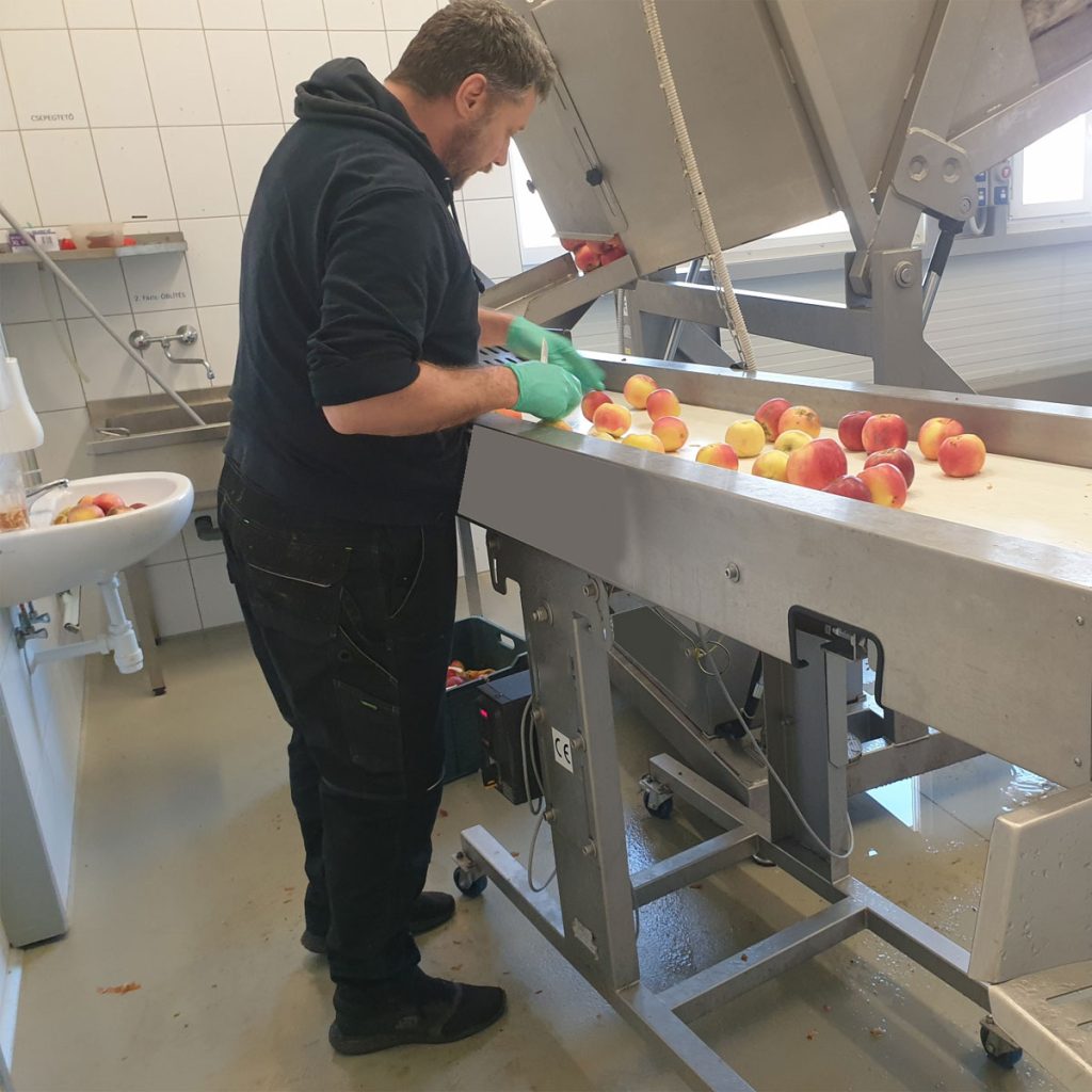 FSC-3000MG : ベルトコンベア付選別台 1500～3000kg/hr